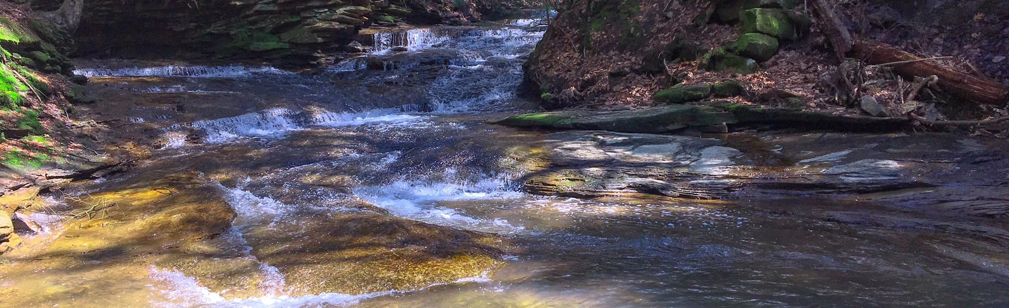 Todd Sanctuary Loop Trail | Map, Guide - Pennsylvania | AllTrails