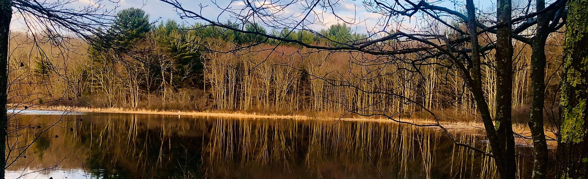 Ruby Trail, Connecticut - 51 Reviews, Map | AllTrails