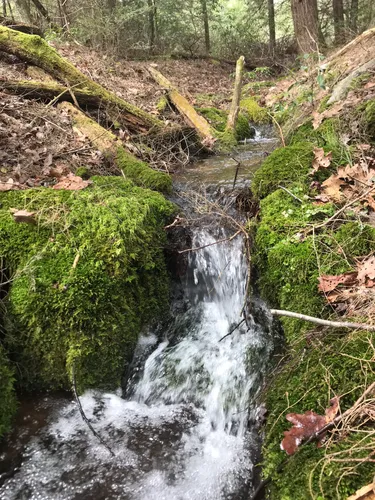 Best Hikes and Trails in The Hook Natural Area | AllTrails