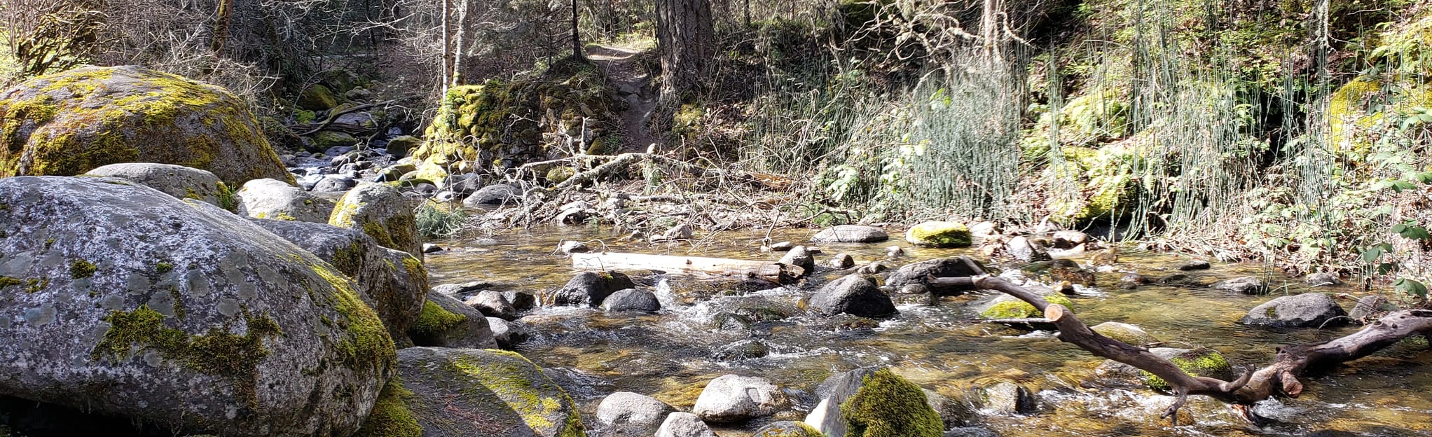 Lithia Loop Trail, Oregon - 19 Reviews, Map | AllTrails