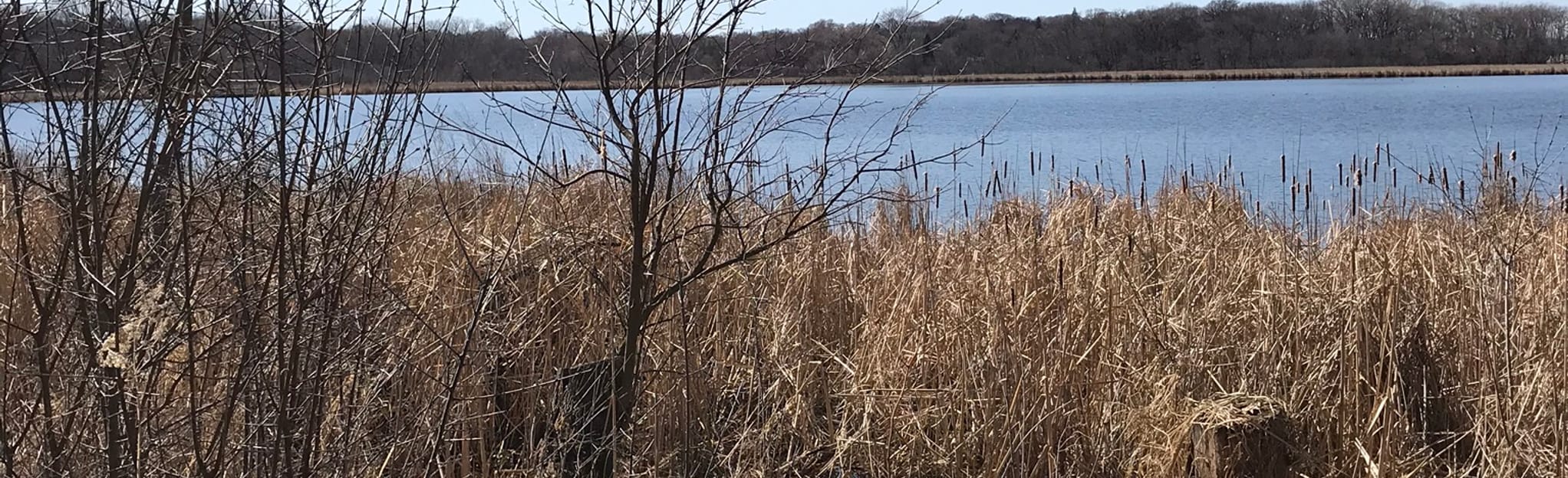 Westwood Hills Nature Center Trail: 379 Reviews, Map - Minnesota ...