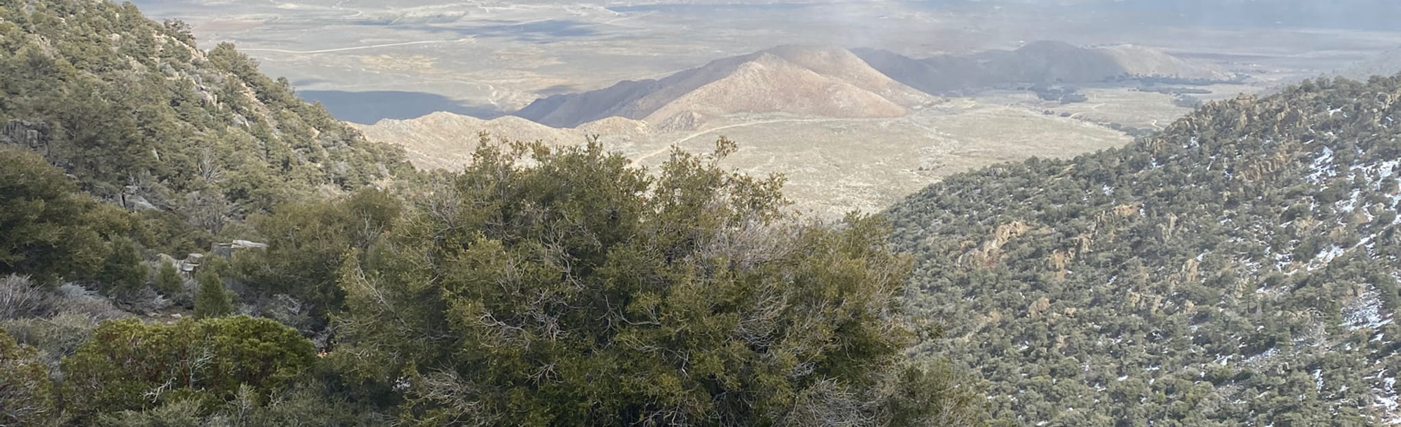 Olancha Pass and Summit Meadow, California - 47 Reviews, Map | AllTrails