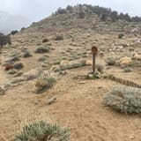 Olancha Peak, California - 45 Reviews, Map | AllTrails