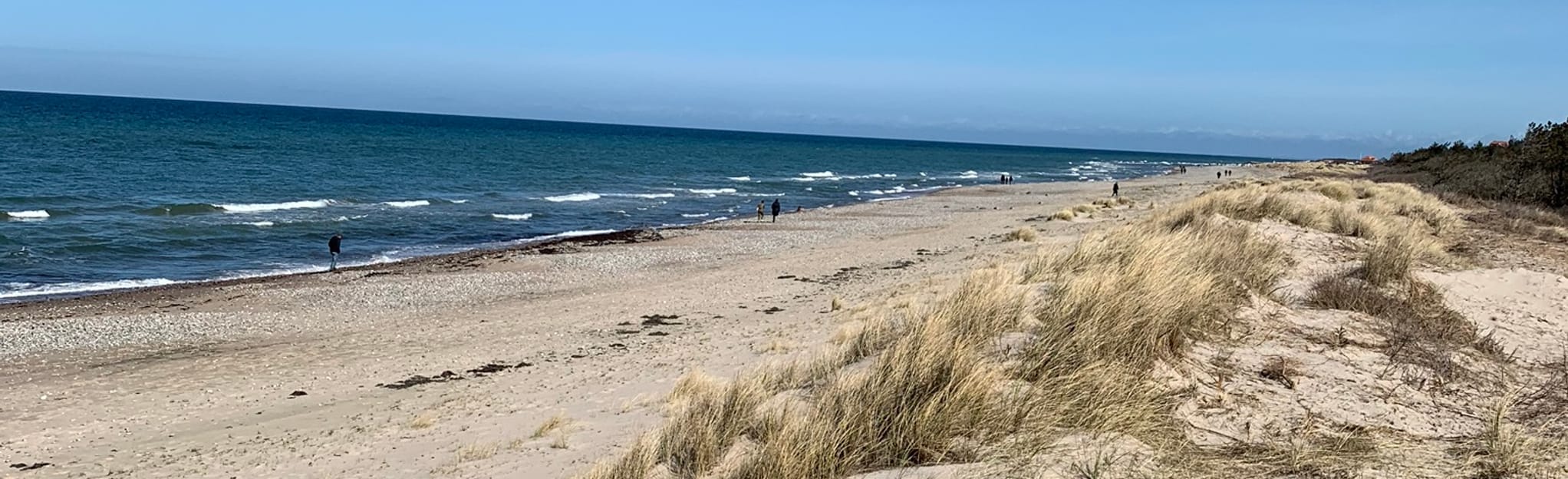 Tisvilde Hegn and the Coast: 24 Reviews, Map - Capital Region of ...