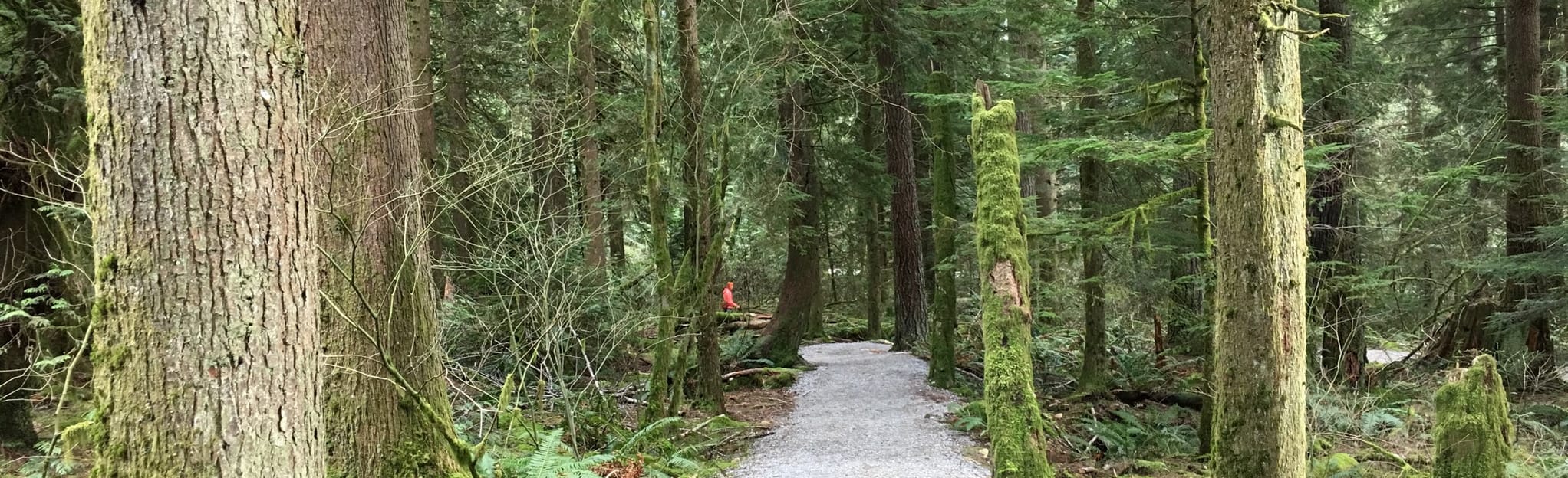 Grand Old Loop via Birdie and Baden Powell trails | Mappa, Guida ...