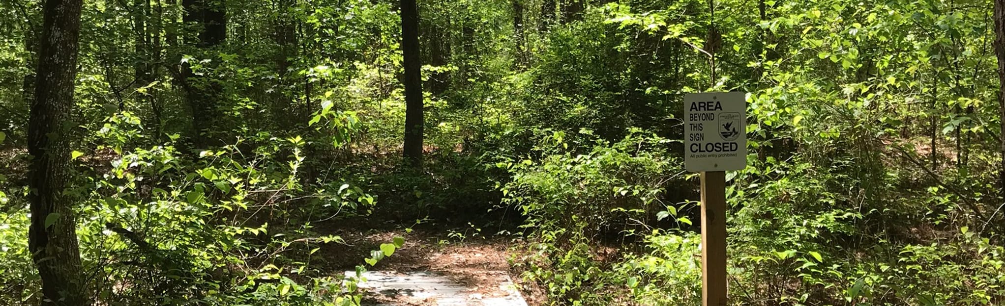 Dr. Ray Watson Memorial Loop: 21 Reviews, Map - Mississippi | AllTrails