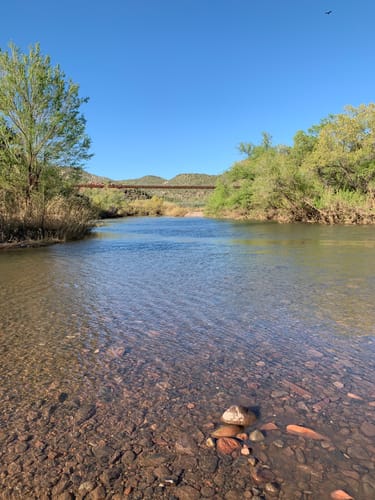 2023 Best Fishing Trails in Tonto National Forest | AllTrails