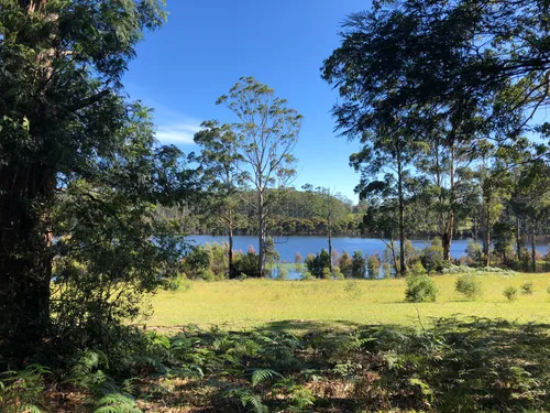 10 Best Walking Trails in Wollemi National Park | AllTrails