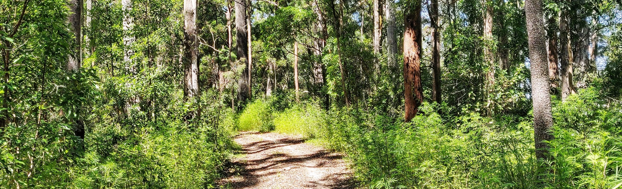 Augie's Loop: South Boundary Road to Scrub Road Bush Camp Loop | Map ...