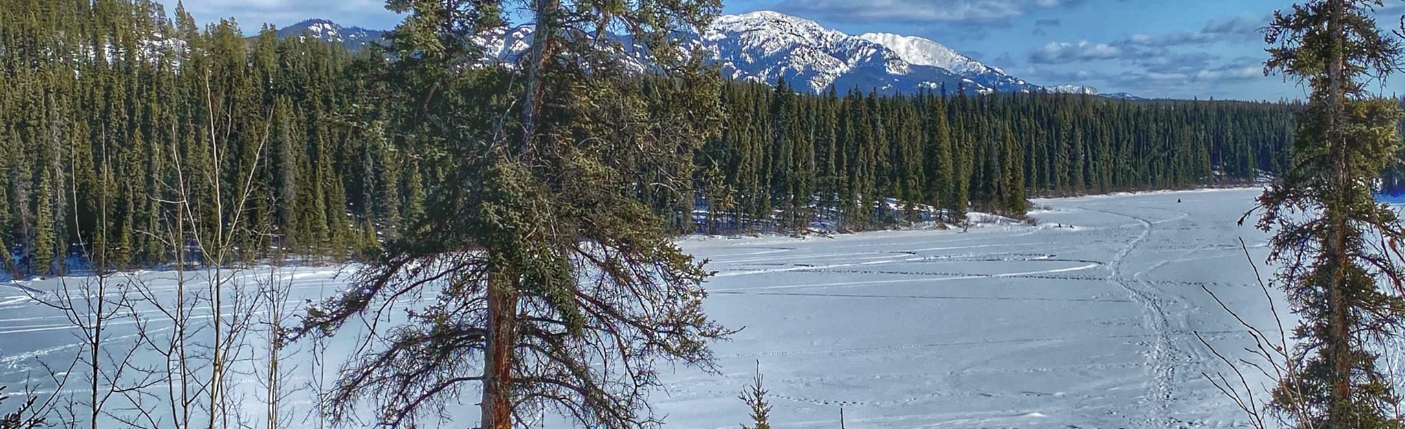 Hospital Ridge and Long Lake Ridge Loop, Yukon, Canada - 30 Reviews ...
