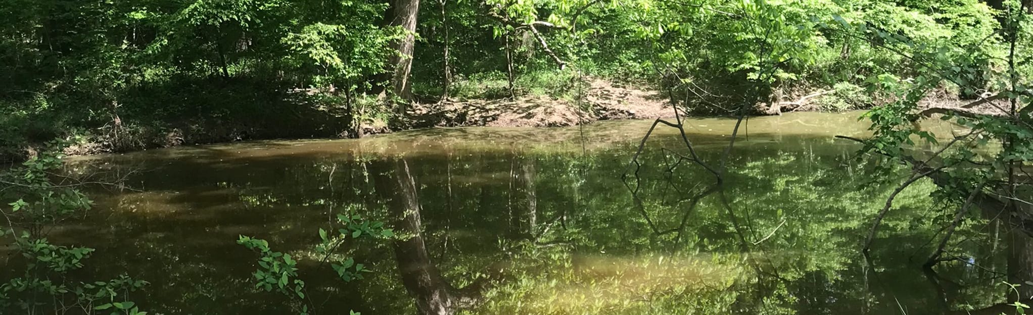 Beaver Dam Trail, Mississippi - 31 Reviews, Map | AllTrails