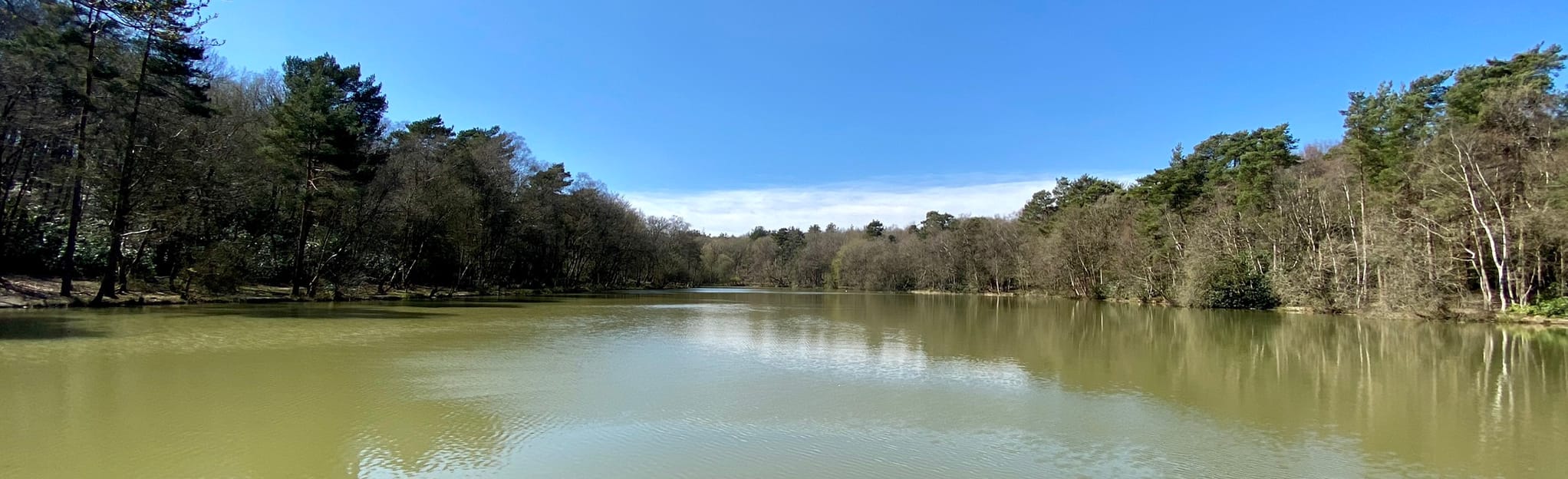 Tilgate Forest Circular, 30 Fotos - West Sussex, England | AllTrails