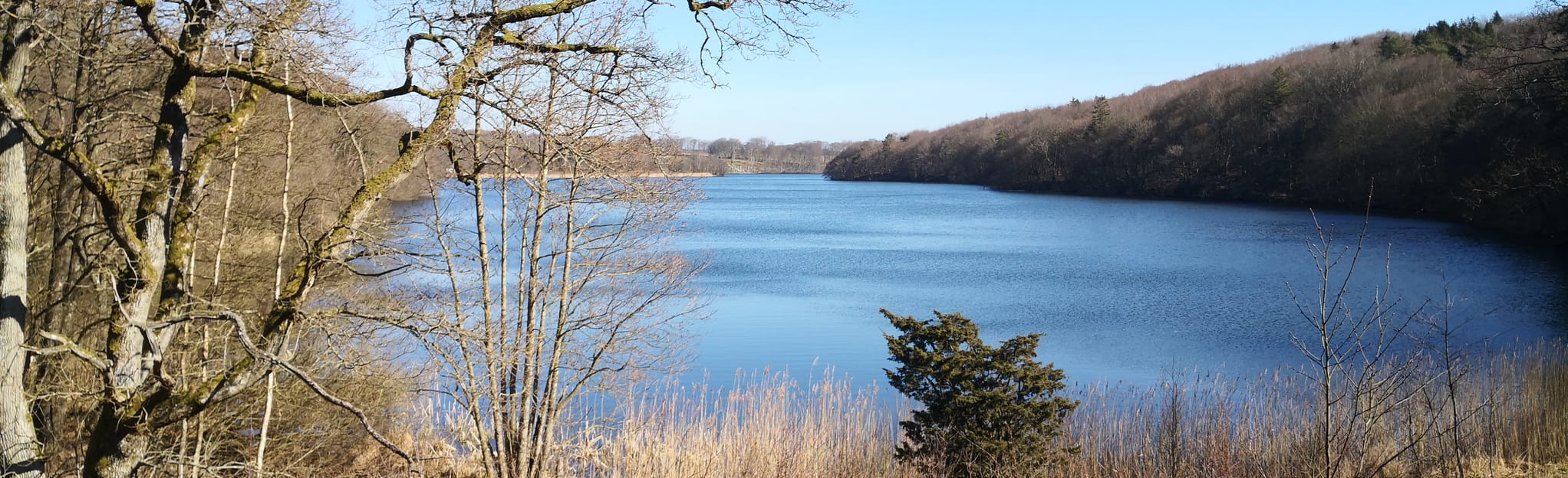 Hald Sø, Central Denmark Region, Denmark - 190 Reviews, Map | AllTrails