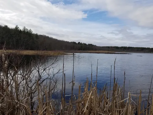 Best Hikes and Trails in Ross Marsh Wildlife Area | AllTrails