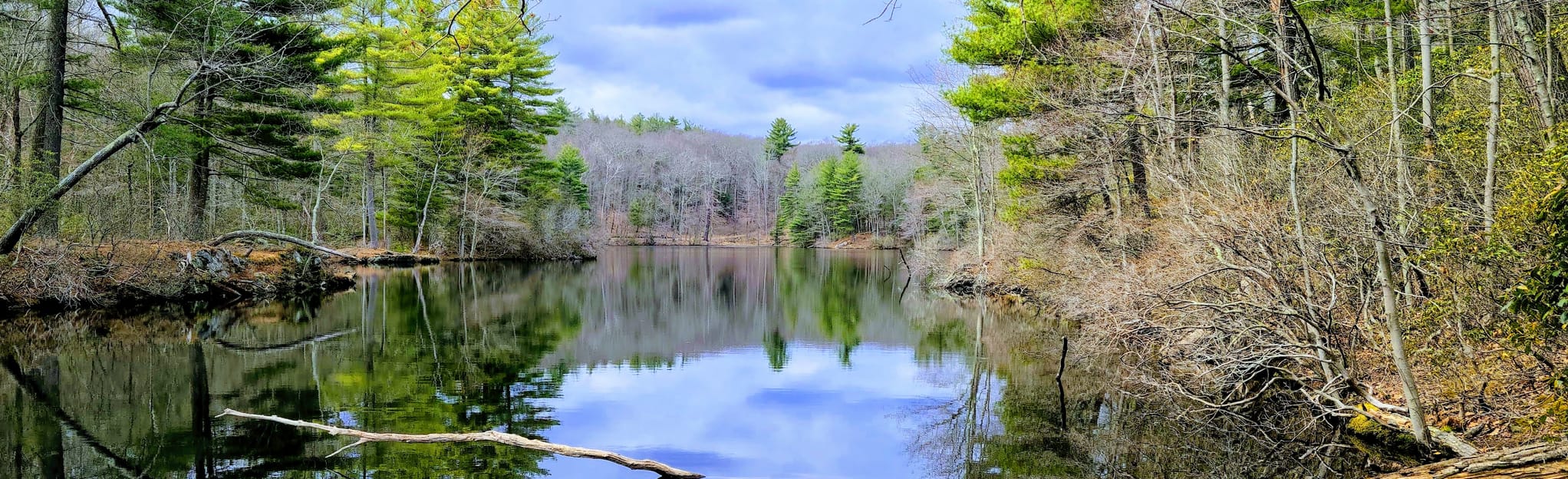 AllTrails | Beaver Pond - Plunge Pool Loop: 253 Reviews, Map - Connecticut
