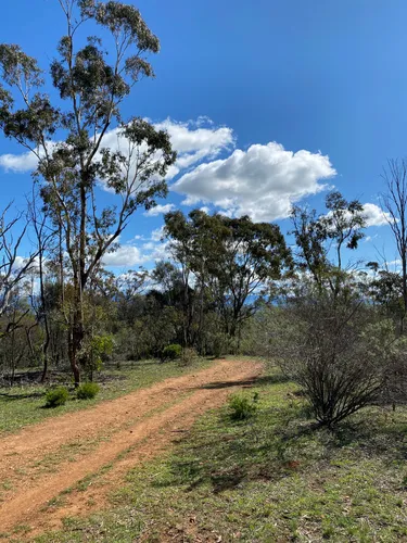 10 Best Walking Trails in Red Hill Nature Reserve | AllTrails