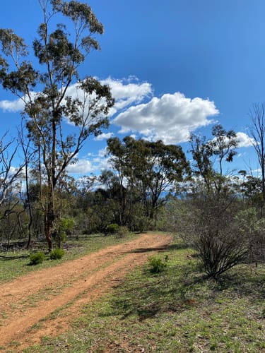 Best 10 Hikes and Trails in Red Hill Nature Reserve | AllTrails