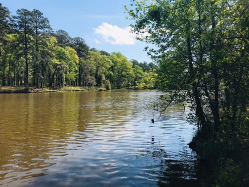 Best Hikes and Trails in Lakepoint State Park | AllTrails