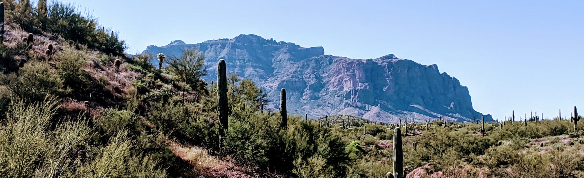 Last Chance Canyon and Bulldog Canyon - Arizona | AllTrails
