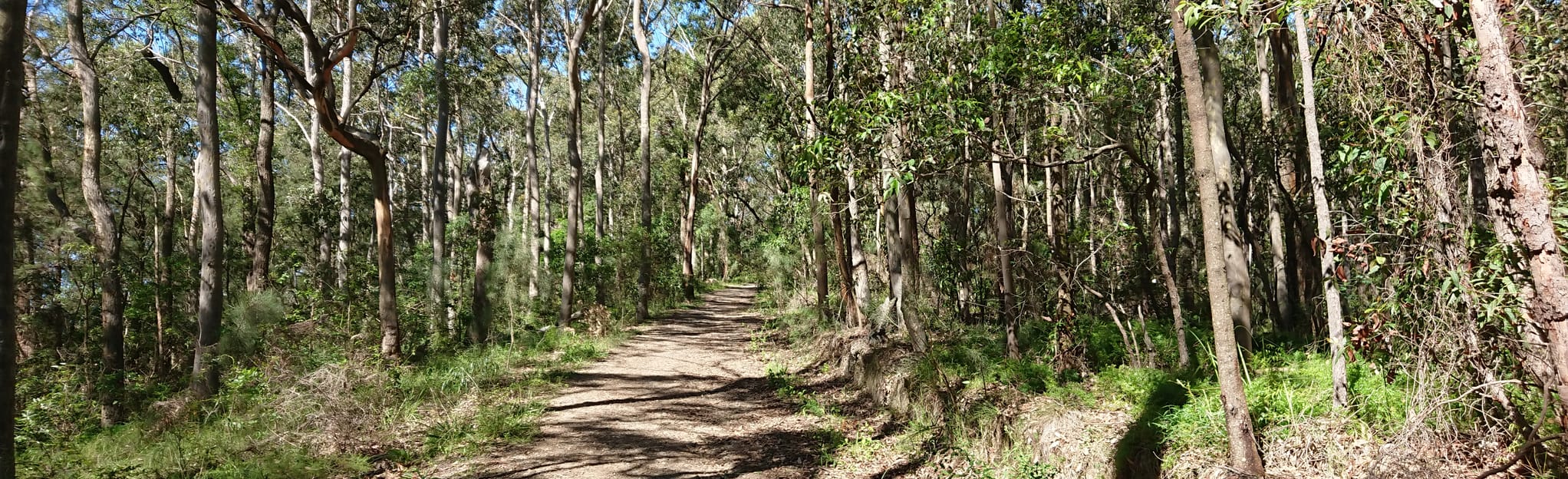 AllTrails | Eleebana Fire Trail: 65 Reviews, Map - New South Wales ...