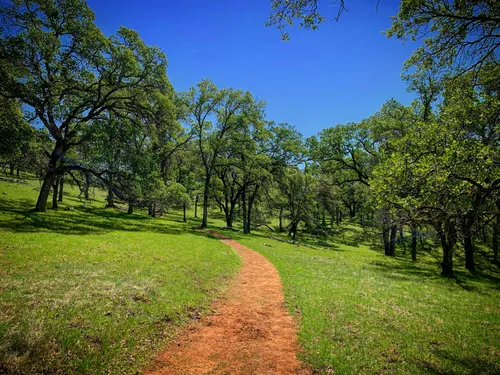 Best Hikes and Trails in Spenceville Wildlife Area | AllTrails