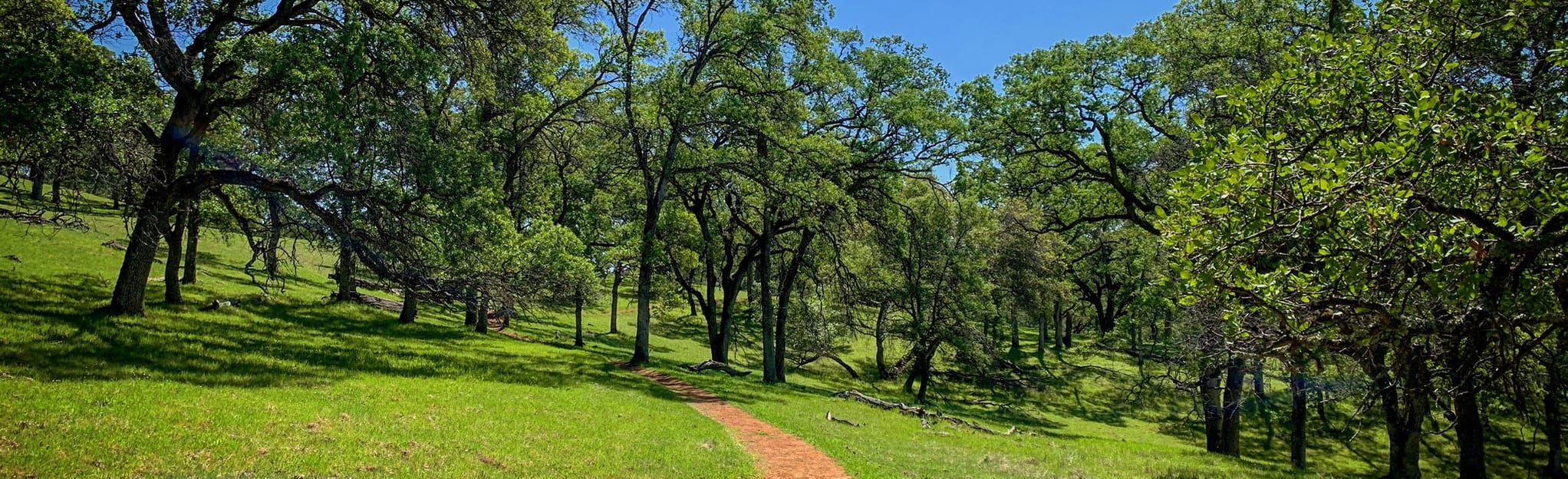 Fairy Falls Trail to Beale/Shingle Falls, California - 1,820 Reviews ...