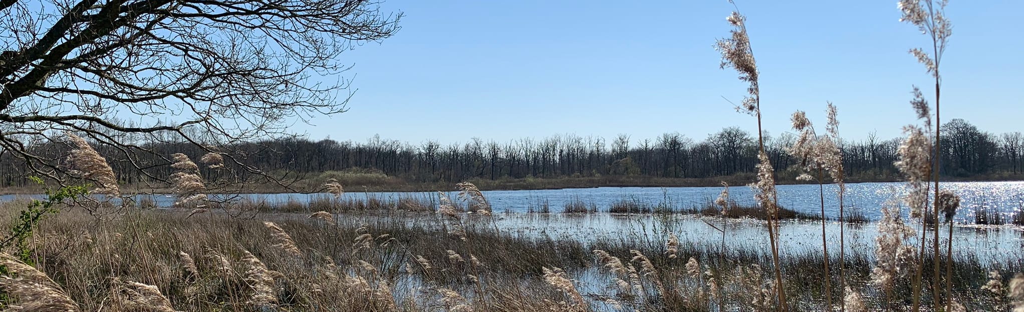 Natuurgebied Westerbroek: 209 foto's - Groningen, Nederland | AllTrails