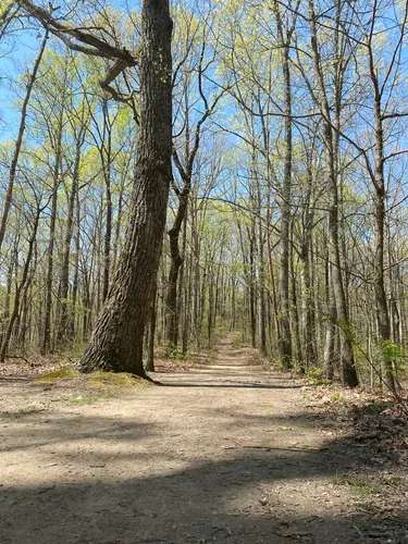 Best Hikes and Trails in Beaman Park | AllTrails