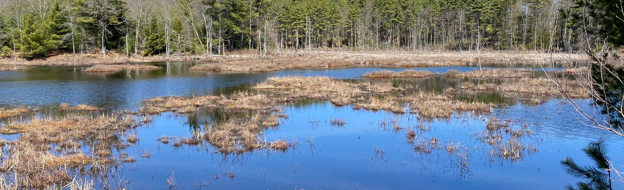 SW Main St to Wallum Lake Rd via Southern New England Trunkline Trail ...