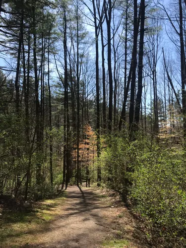 Best Hikes and Trails in Norma Johnson Center | AllTrails