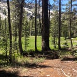 Lillian Lake Trail from Fernandez Trailhead, California - 146 Reviews ...