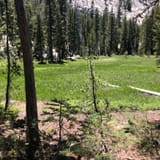 Lillian Lake Trail from Fernandez Trailhead, California - 146 Reviews ...