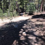 Lillian Lake Trail from Fernandez Trailhead, California - 146 Reviews ...