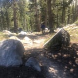 Lillian Lake Trail from Fernandez Trailhead, California - 146 Reviews ...