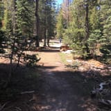 Lillian Lake Trail from Fernandez Trailhead, California - 146 Reviews ...