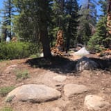 Lillian Lake Trail from Fernandez Trailhead, California - 146 Reviews ...