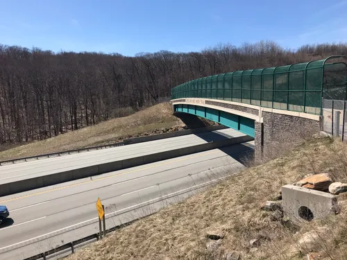 Best Long Trails in Forbes State Forest | AllTrails