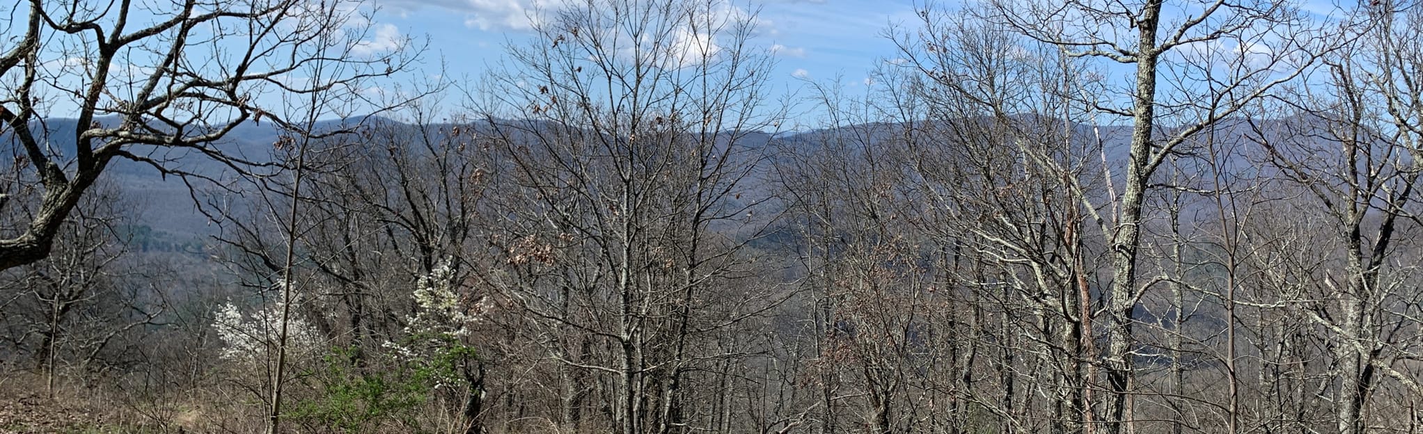 Pine Mountain Trail to Bad Fork Loop: 37 Reviews, Map - North Carolina ...