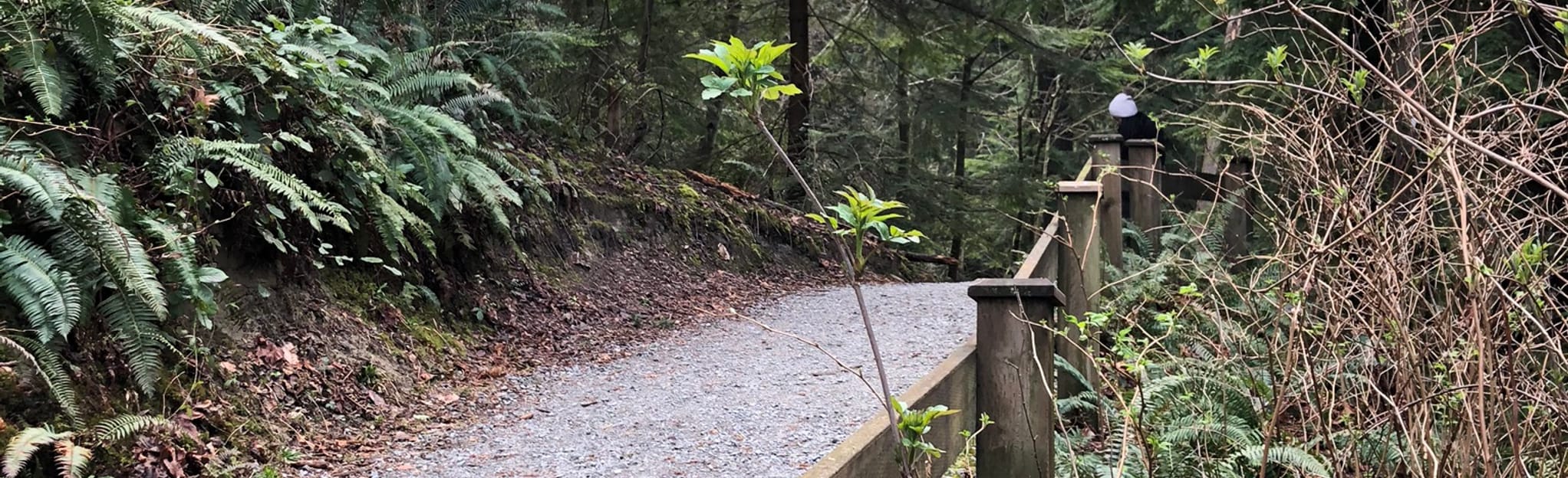 Alfred Howe Greenway, British Columbia, Canada - 28 Reviews, Map ...