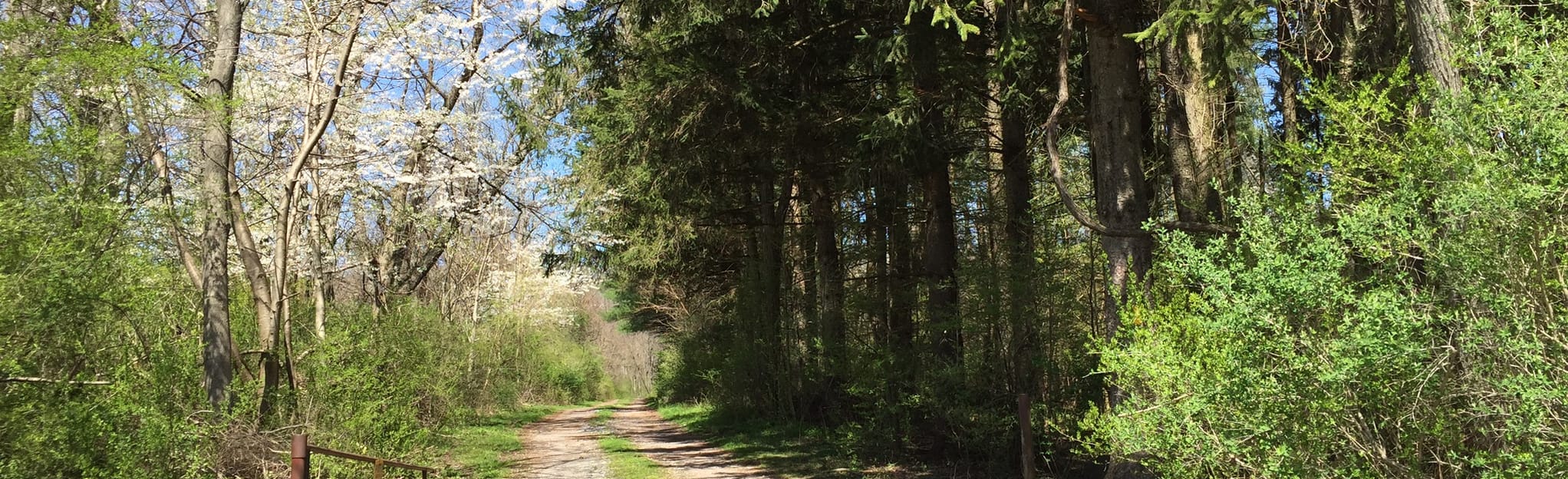 Horse-Shoe Trail From South Forge Road, Pennsylvania - 97 Reviews, Map ...