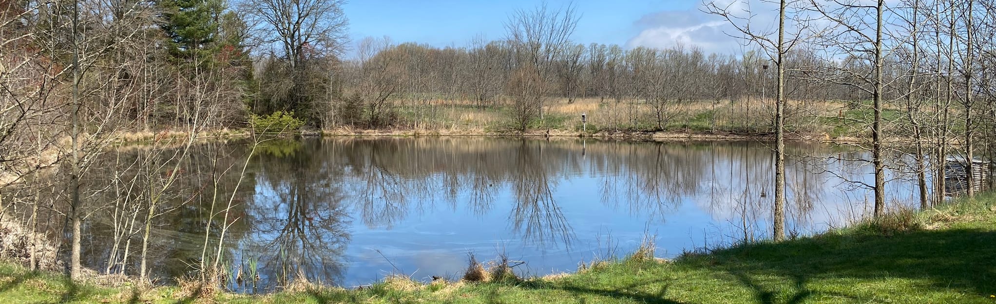 Blackbird Creek Preserve Yellow Trail : 92 Reviews, Map - Delaware ...