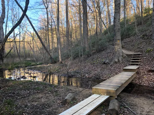 10 Best Hikes and Trails in American Chestnut Land Trust | AllTrails