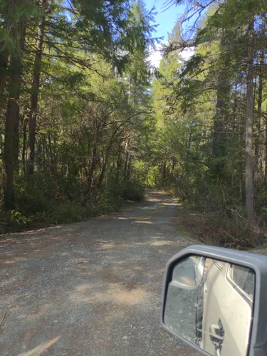 Best 10 Hiking Trails in Six Rivers National Forest | AllTrails