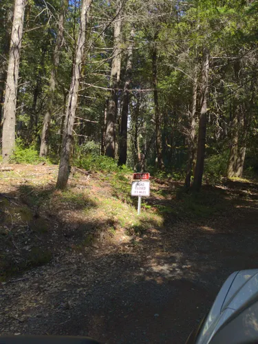 10 Best Hikes and Trails in Six Rivers National Forest | AllTrails