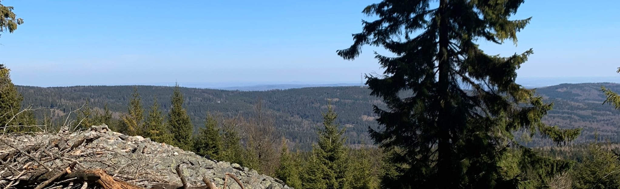 Altkoenig of Kronberg, Hesse, Germany - 4 Reviews, Map | AllTrails