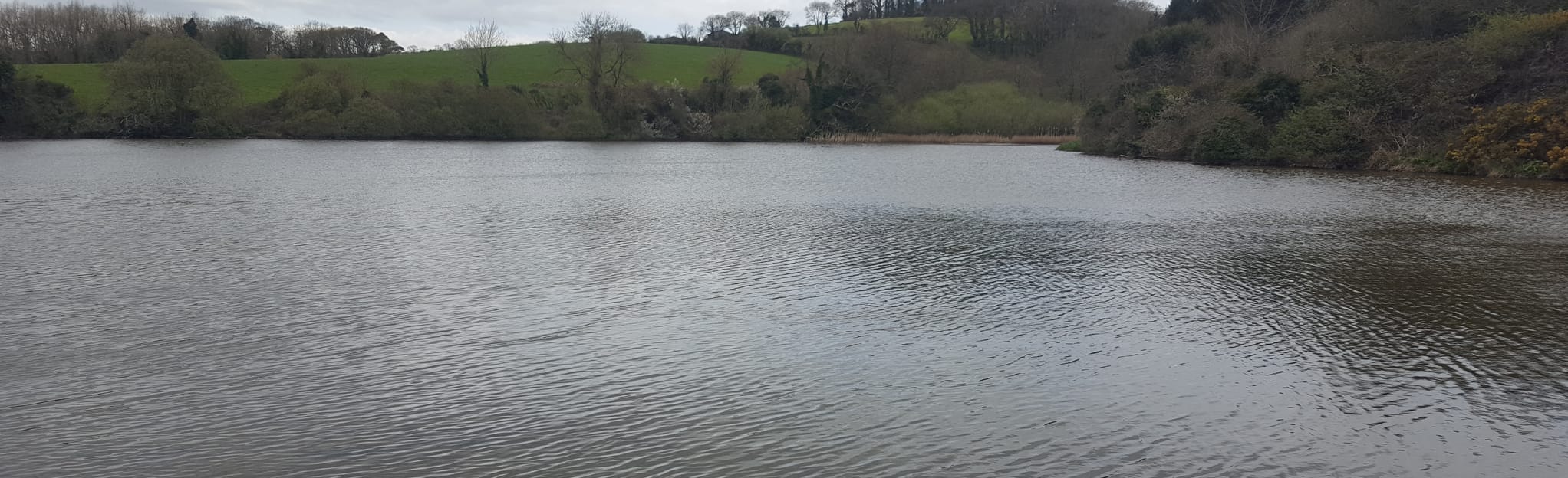 Truro and Tresillian River Circular, Cornwall, England - 5 Reviews, Map ...