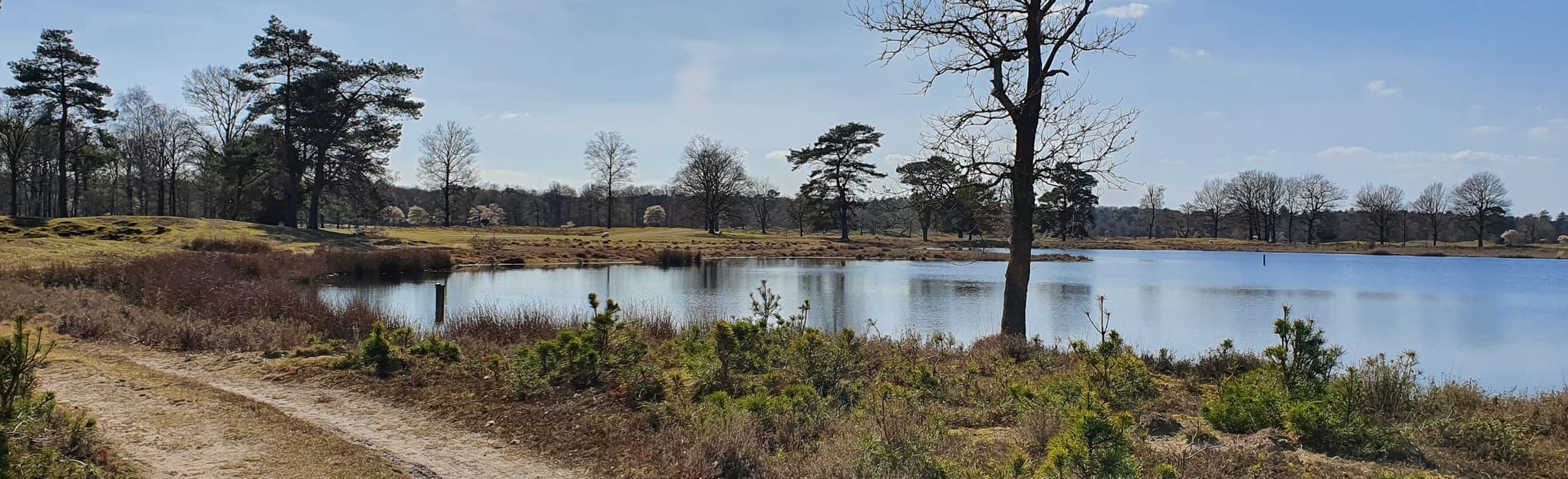 Grenspoel - Groote Veen: 3 Reviews, Map - Drenthe, Netherlands | AllTrails