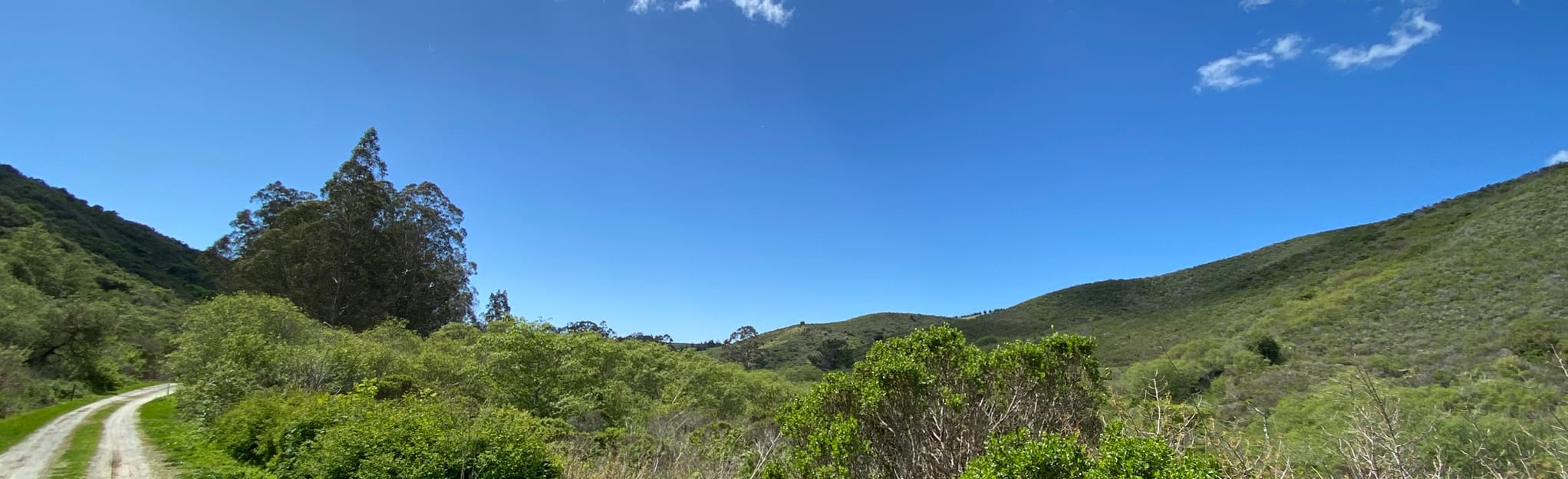 Burleigh Murray Ranch Trail: 214 Reviews, Map - California | AllTrails