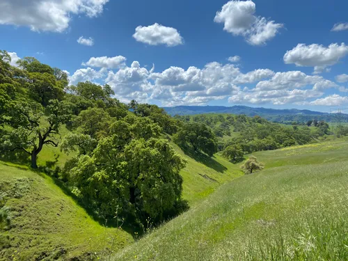 10 Best Hikes and Trails in Shell Ridge Open Space | AllTrails