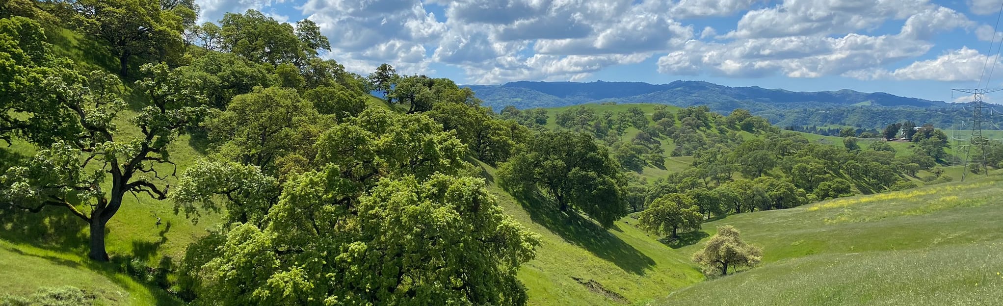 Foothills, Franco Ridge, Sugarloaf-Shell Ridge, and Borges Ranch Loop ...